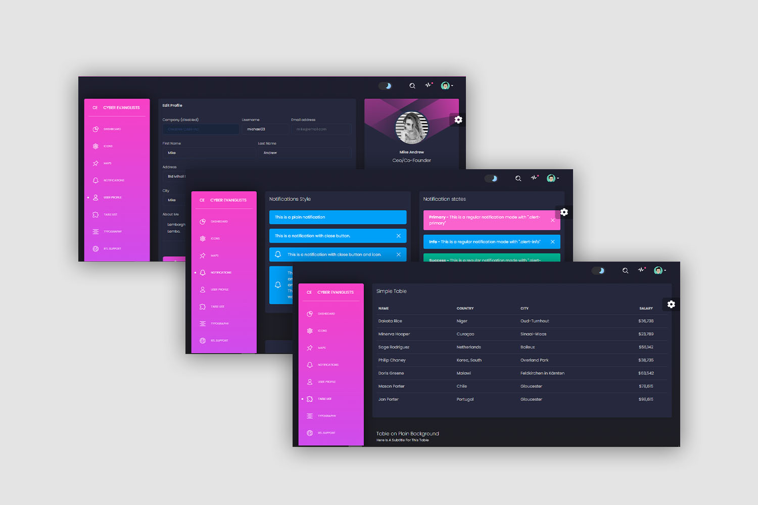 Cyber Evangelists : A global technology partner