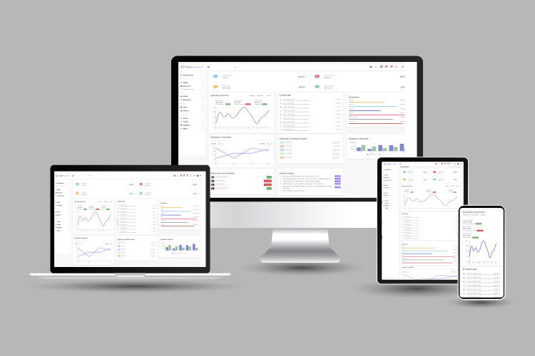 Cyber Evangelists : A global technology partner